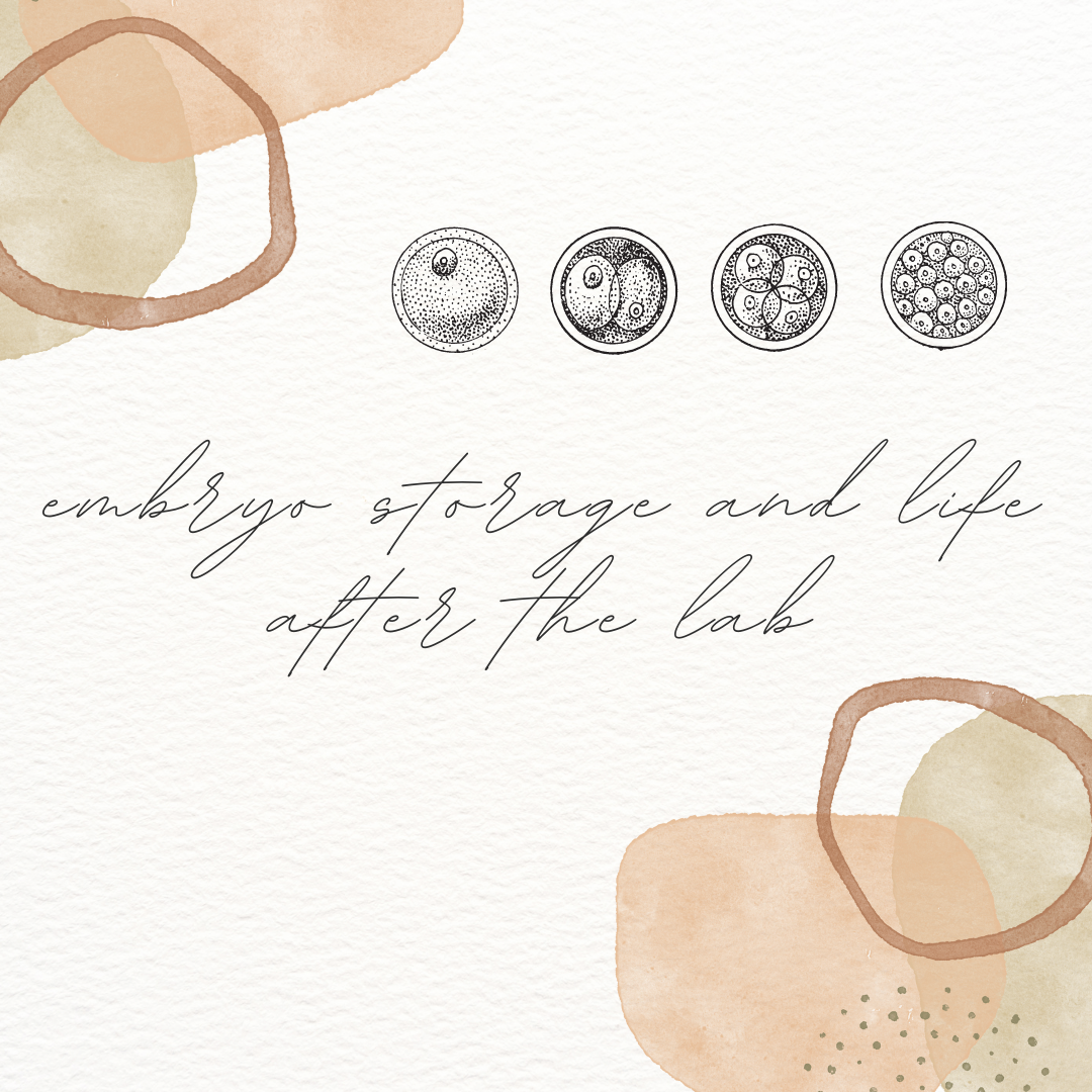 Embryo Storage and Life After the Lab – The Warrior Shop